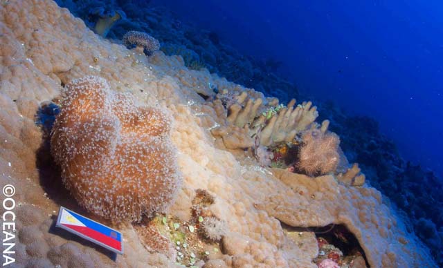 Palace mulls renaming Benham Rise to ‘PH Rise’