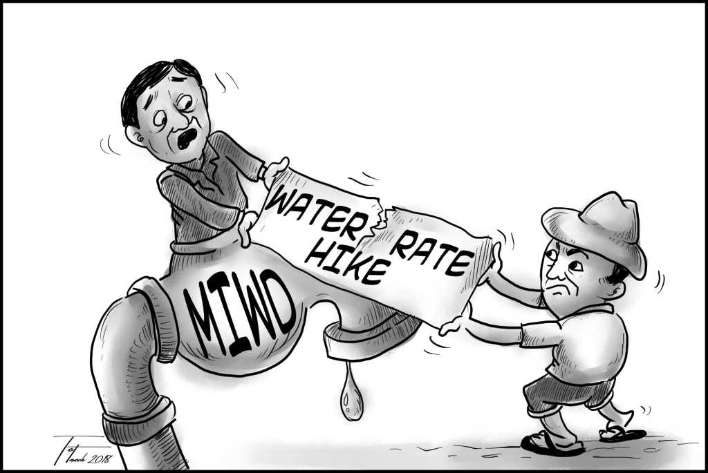 Responsible pet ownership