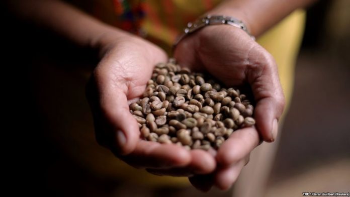 Negros Occ. to boost coffee production