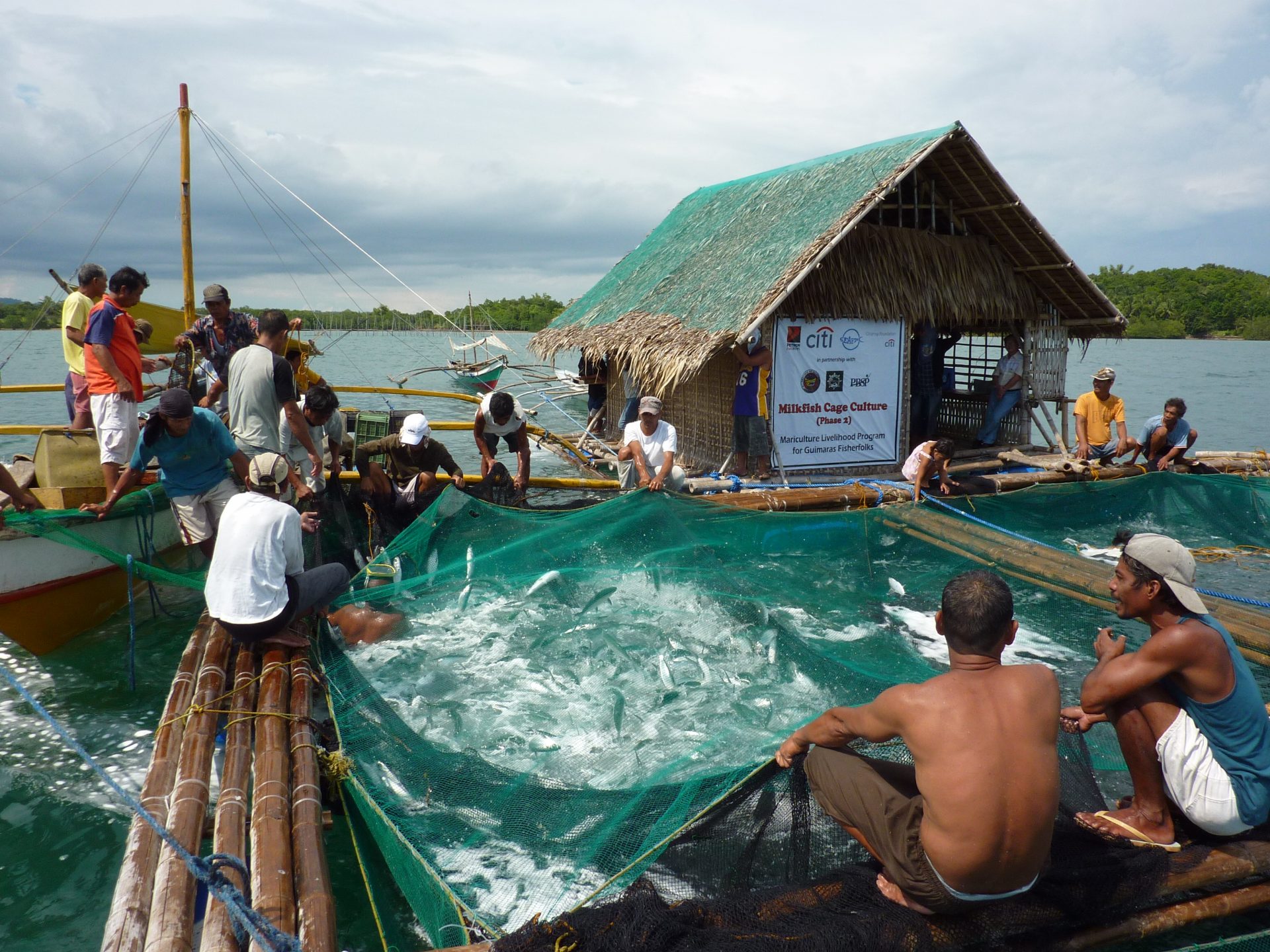 Foreigners receiving marine fish hatchery training at SEAFDEC