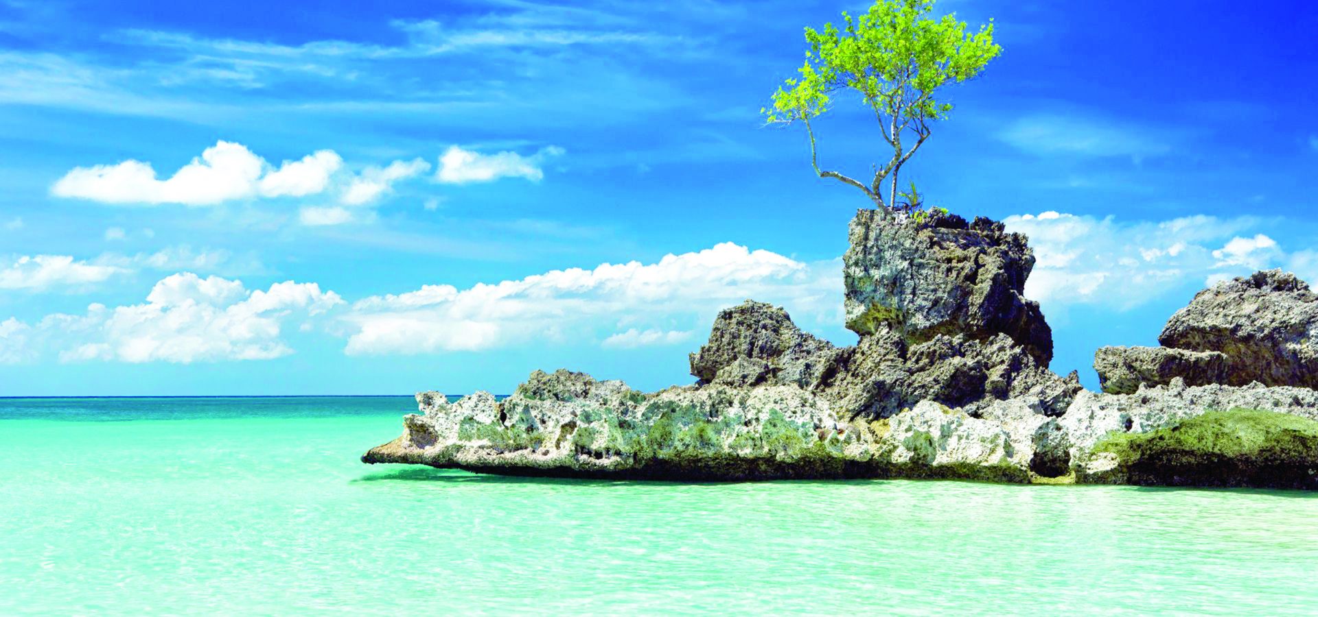 PH geothermal energy giant to help restore Boracay wetland