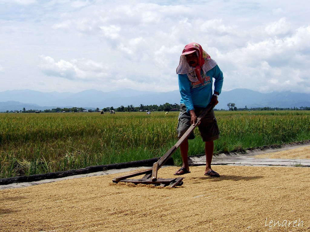 Car hits man drying ‘palay’ in Badiangan