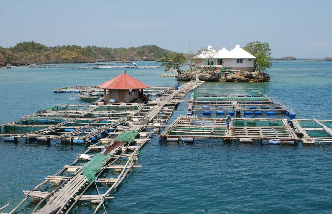 Baliao lauds Japan’s 50 years of support for SEAFDEC/AQD