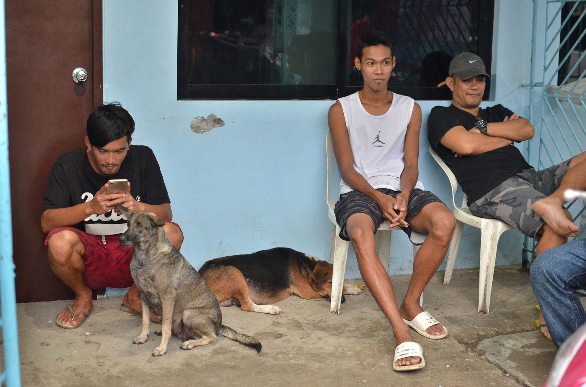 Compulsory rabies vaccination for pet dogs, cats in Iloilo