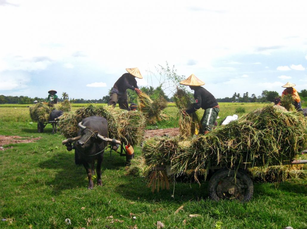 ‘Gov’t to focus on agri investments in coming years’