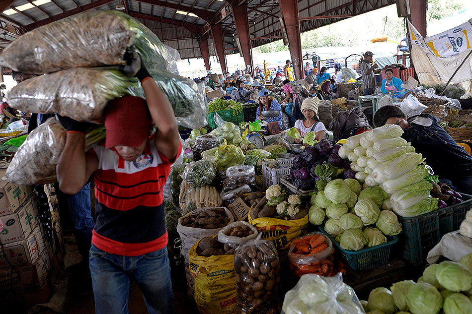 Vegetable prices drop due to oversupply; carrots dumped in Benguet