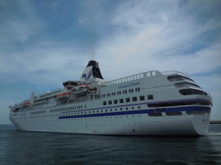 Iloilo mayor eyes cruise ship terminal at Fort San Pedro