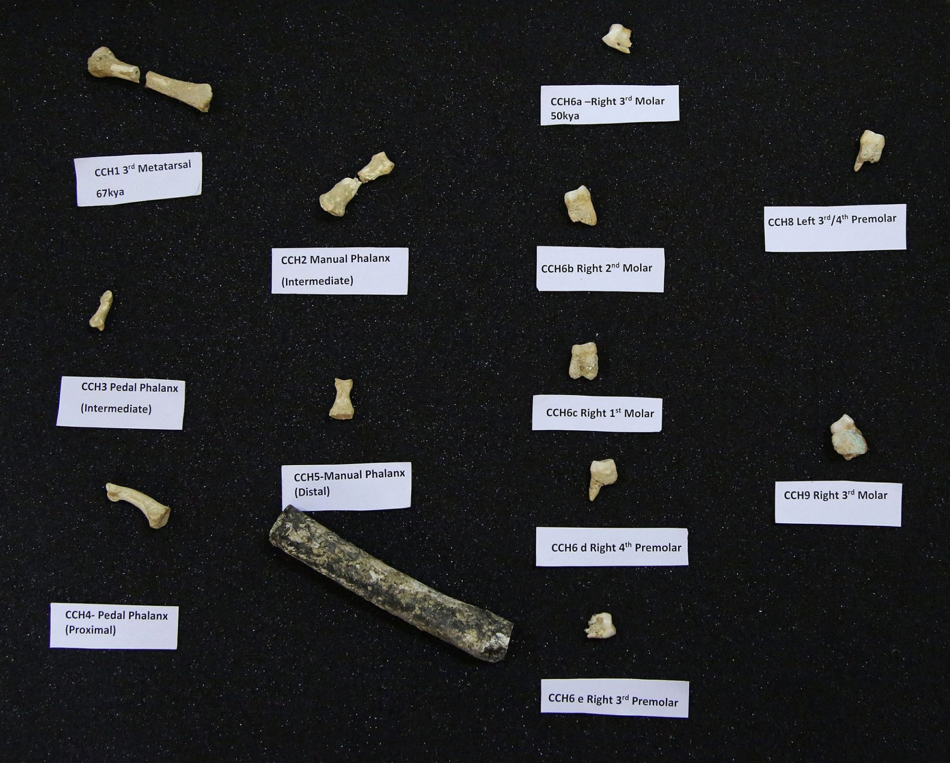 NEW HUMAN SPECIES: More diggings in Callao Cave eyed