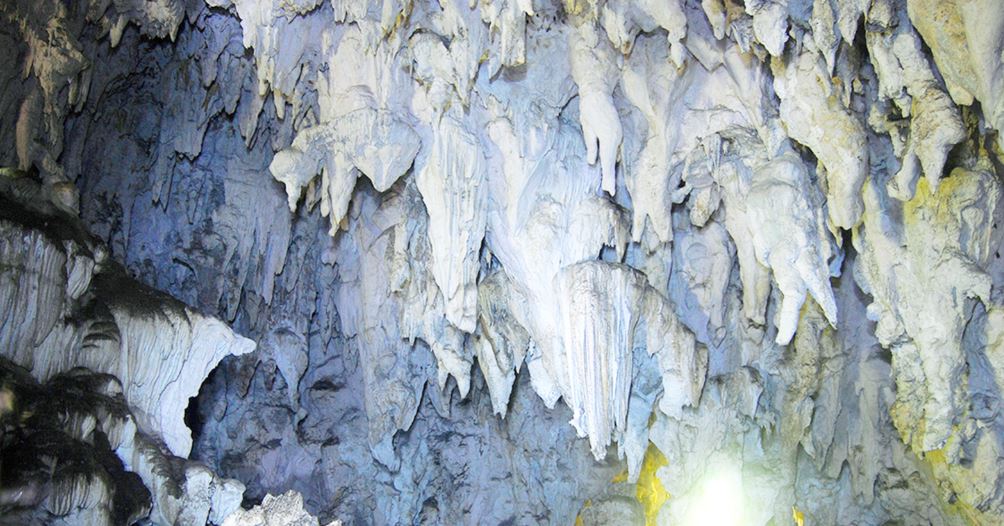 ‘Protected areas shall be DENR’s legacy in WV’