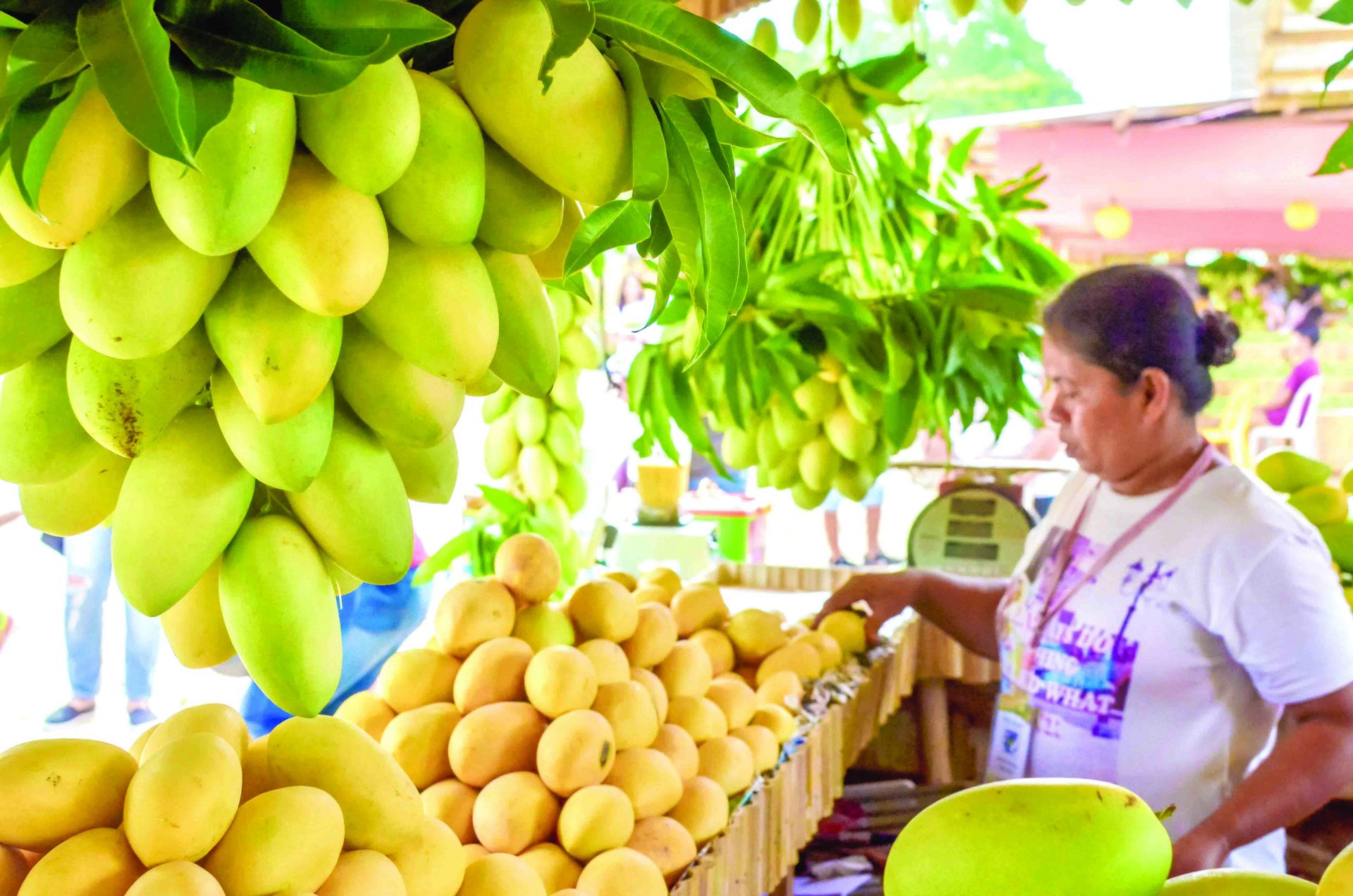 Manggahan Festival 2019: WV’s sweetest celebration