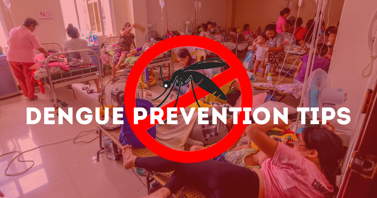 How is dengue infection prevented?