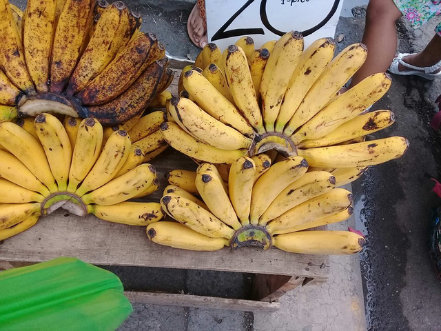 Banana producers fear politics to affect PH’s top-dollar earner