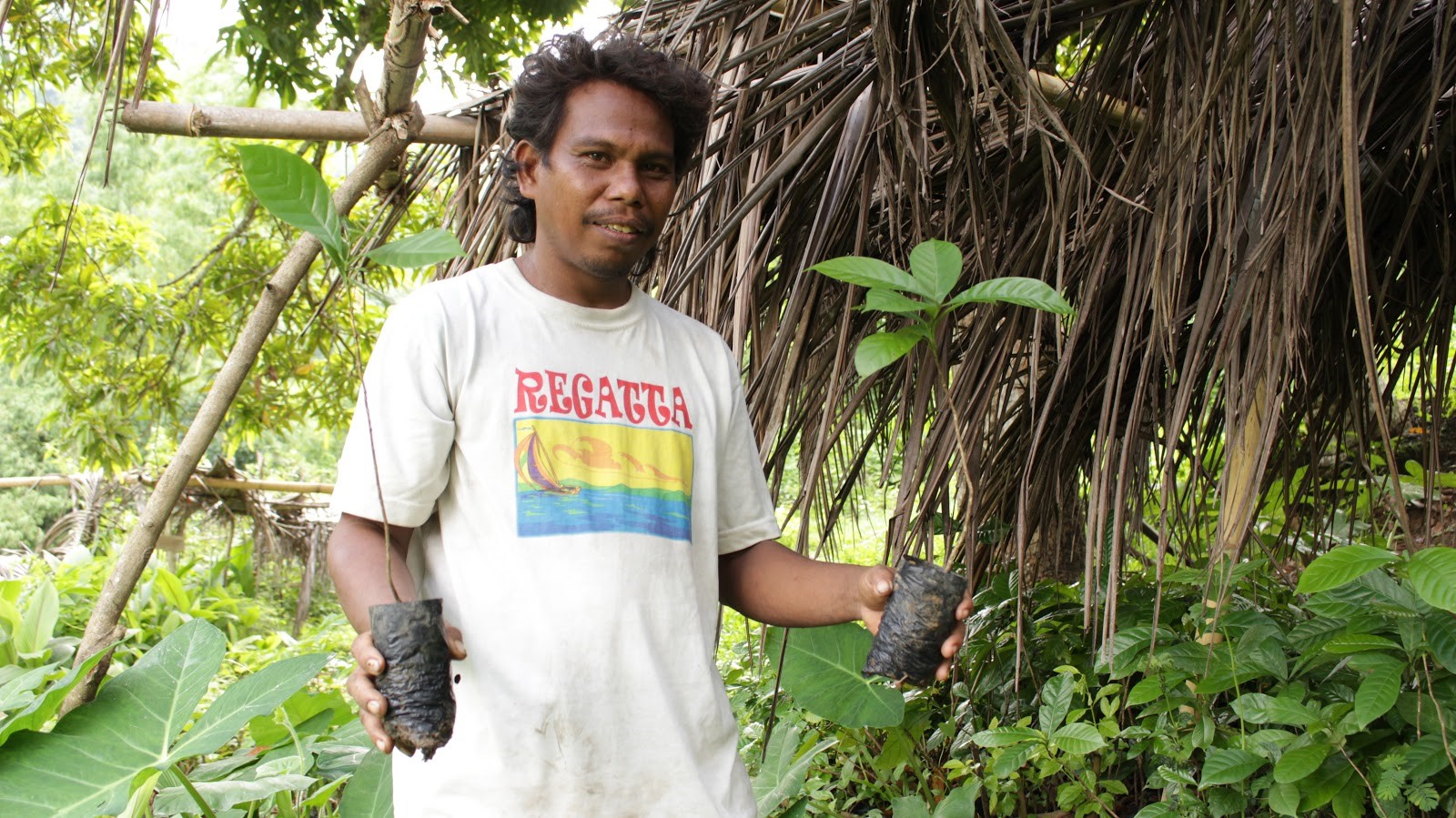 Kape Miro’s tech-roasted success