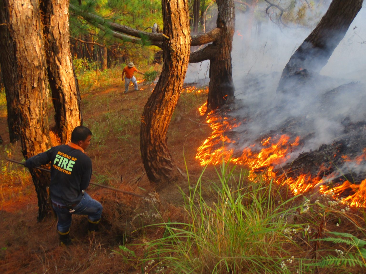 Almost 900 hectares of natural forest, areas destroyed in Benguet blaze