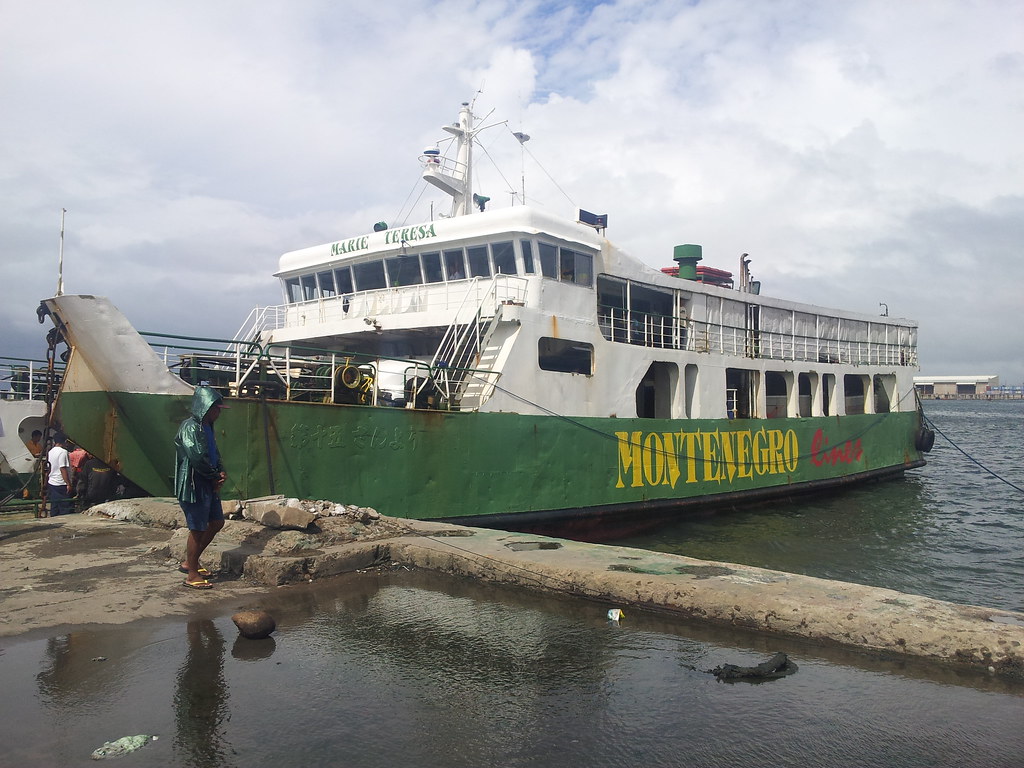 BPO worker rescued after falling from RORO vessel