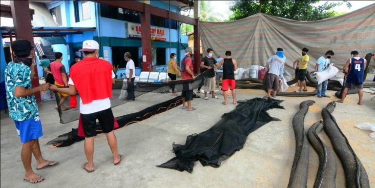 DOLE Region 6 office probes oil spill, too; focuses on occupational ...