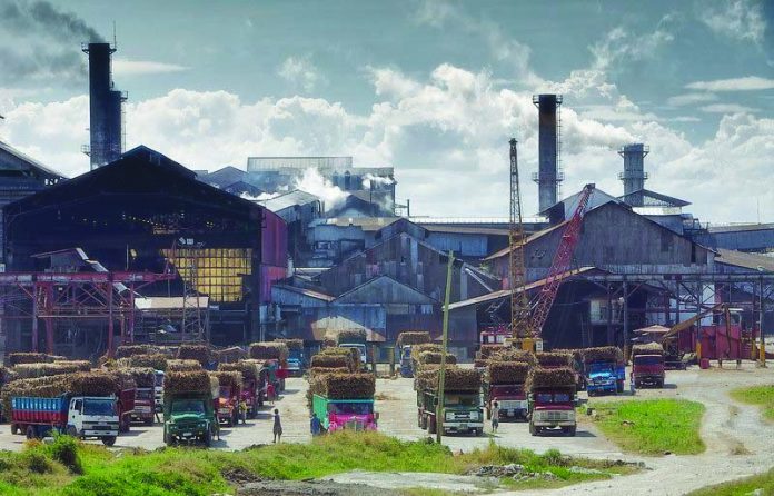 NegOcc milling distillery gets P100-M upgrade