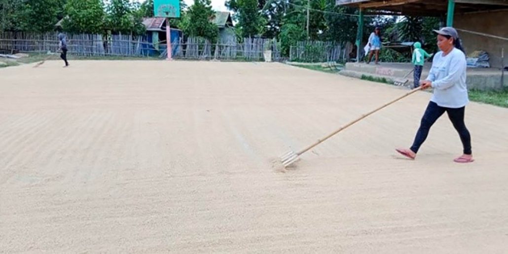Former OFW turns to farming with help from DA, LANDBANK