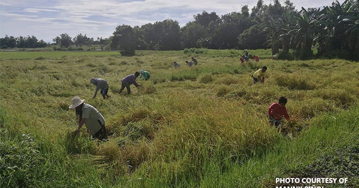 For our ‘backliners’