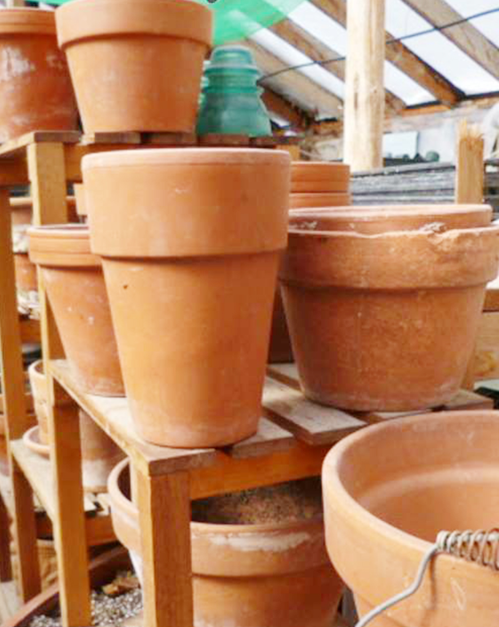 For our plantitos/titas: Get to know your pot