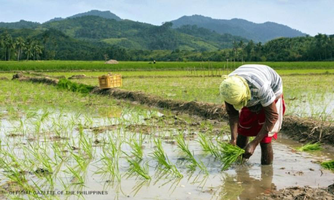 Rice tariff collection funds RCEF, other agri programs