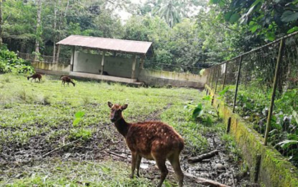 Wildlife, conservation park in Iloilo opens to public