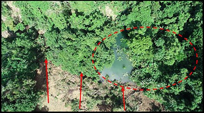 MGB: Natural forces cause landslide in Hamtic