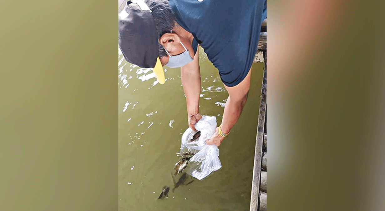 400 juvenile fishes released into Iloilo River