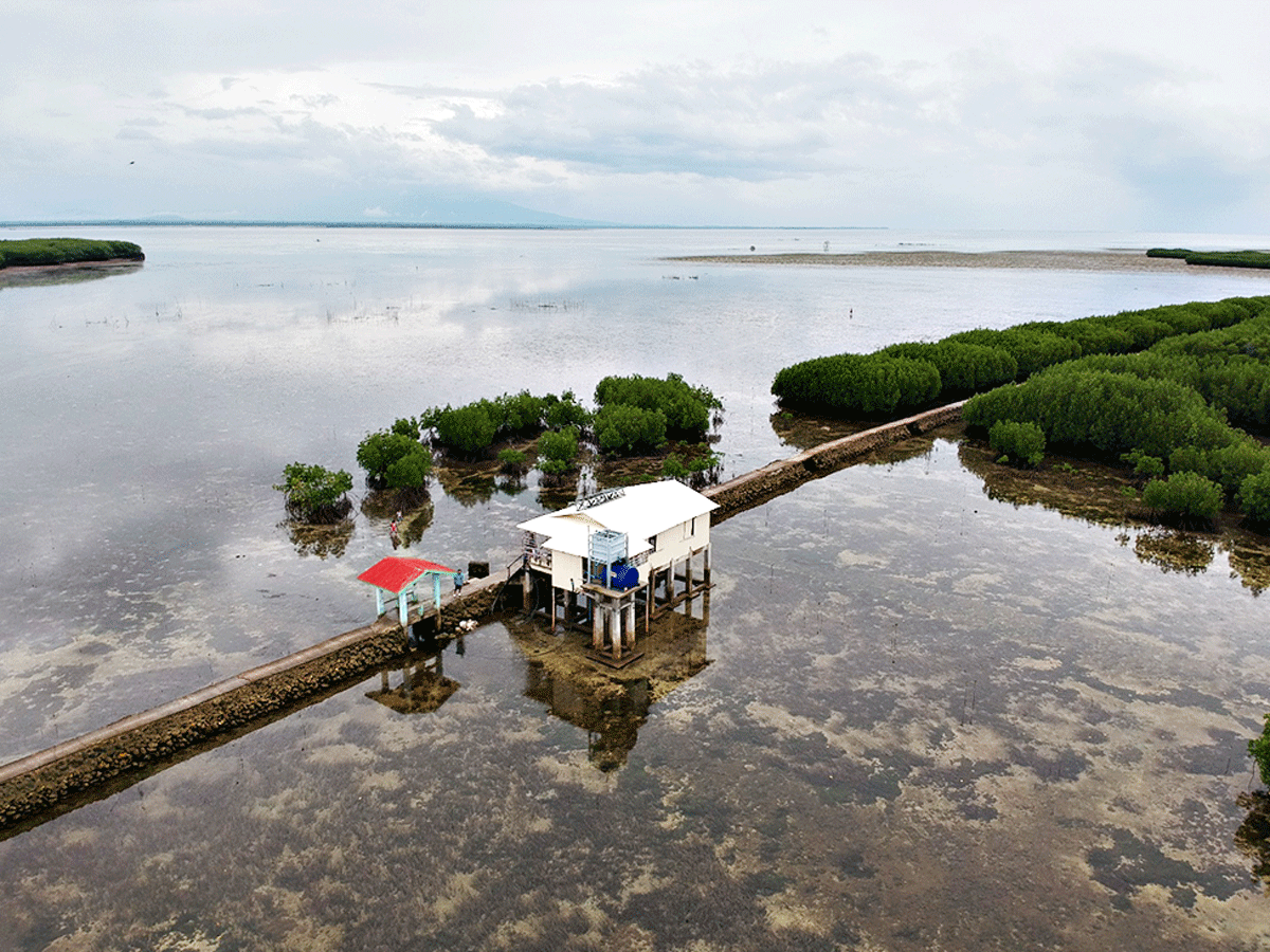 Community-based sea ranching: Fisherfolk’s legacy to sustainable fisheries