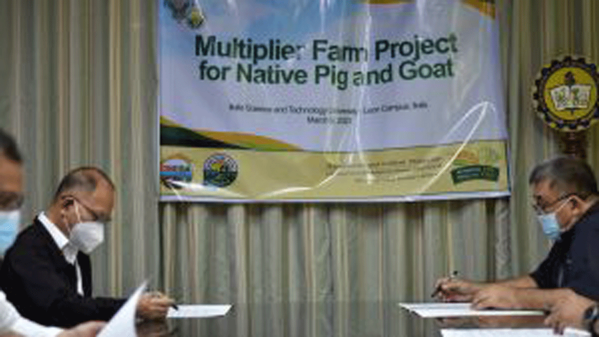 P2.56M livestock multiplier farm project in ISAT-U Leon Campus gets ...