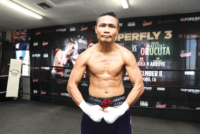 Nietes gets new foe in return bout