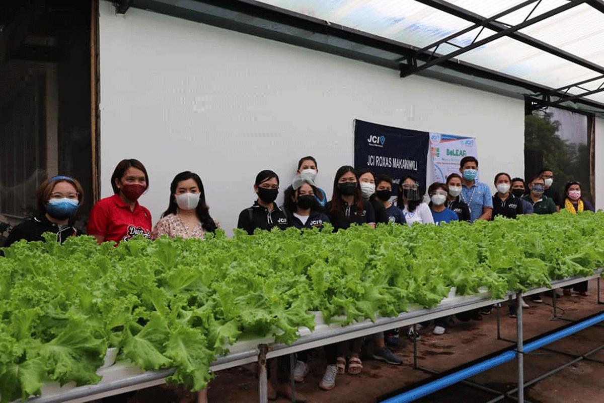 Hydroponics farming research center launched in Roxas