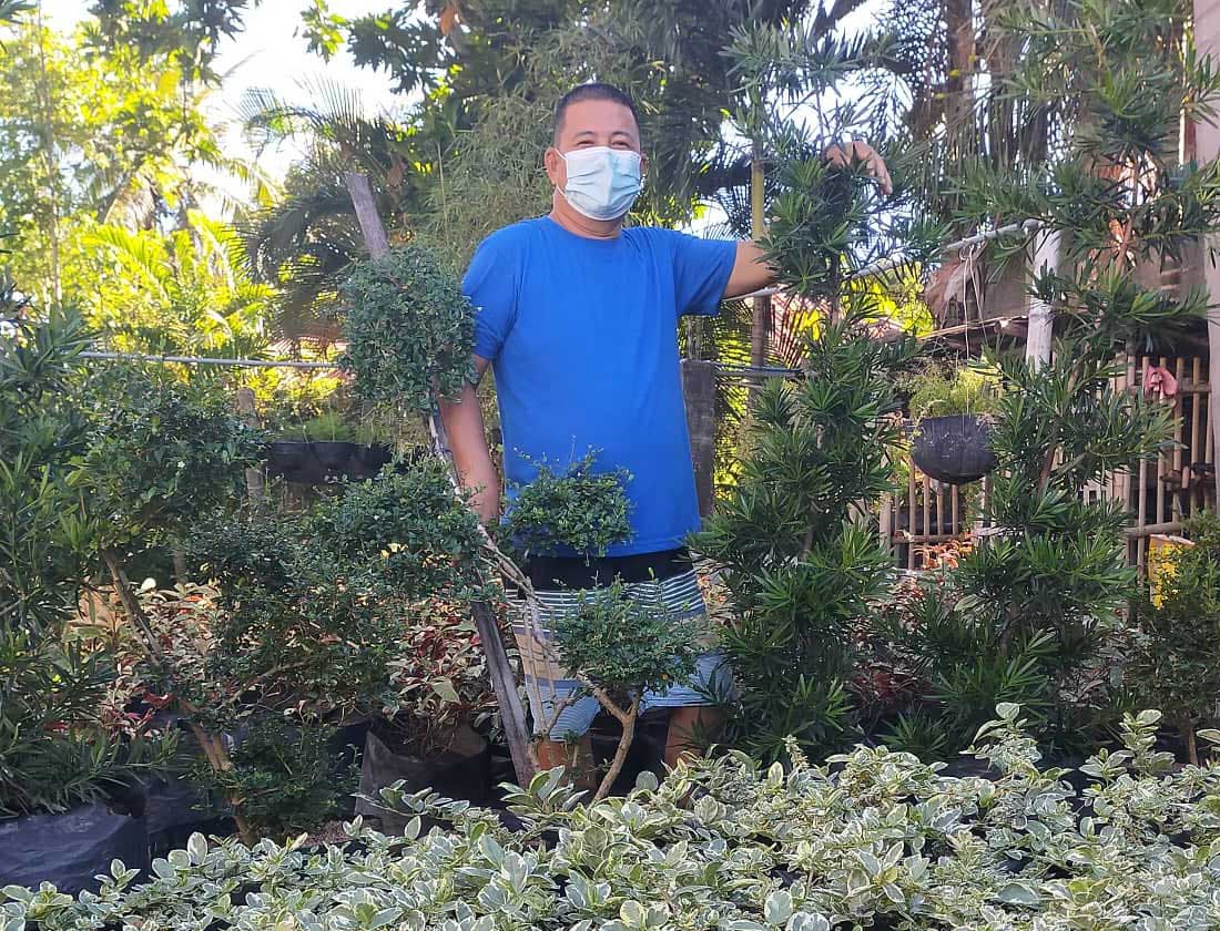 Plantdemic: The rise of plantitos, plantitas