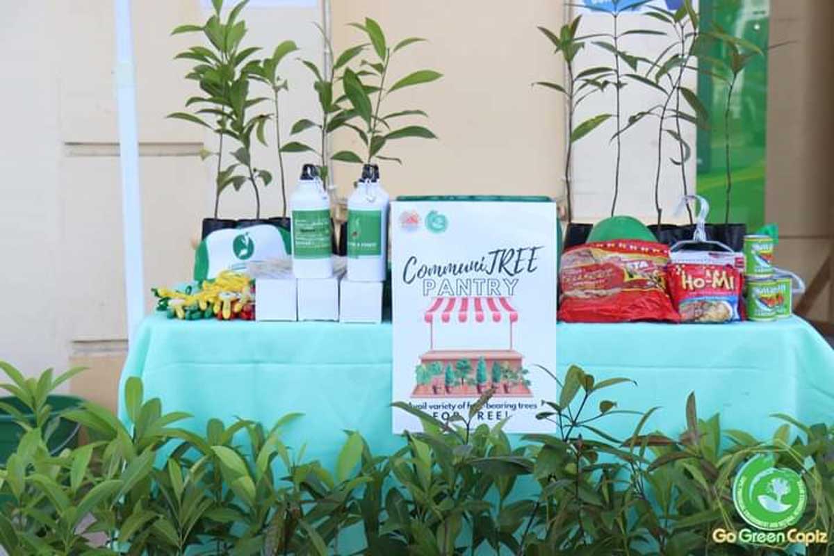 ‘CommuniTree’ pantry gives out tree seedlings