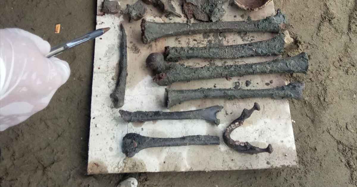 Human skeleton discovered