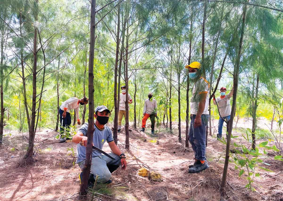 SMPC mine rehab wins ASEAN award