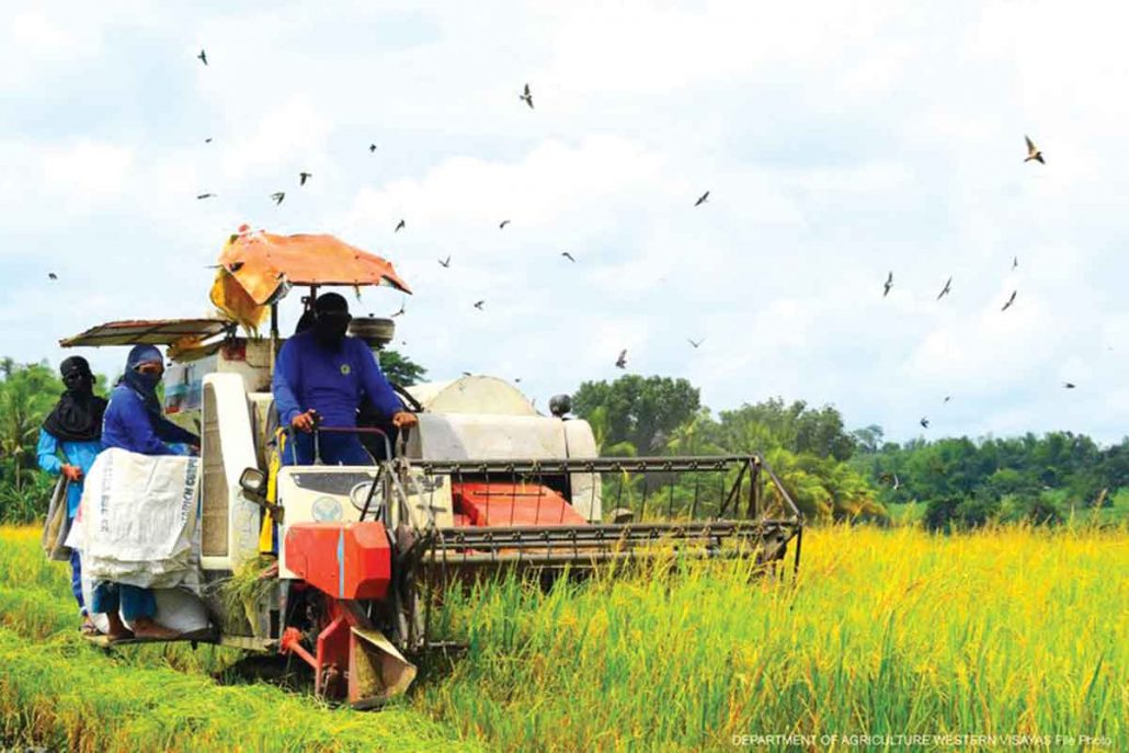 WV eyes 39% hike in palay production