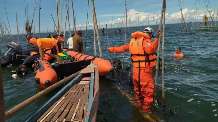 Whale shark found in Bacolod likely hunting for food