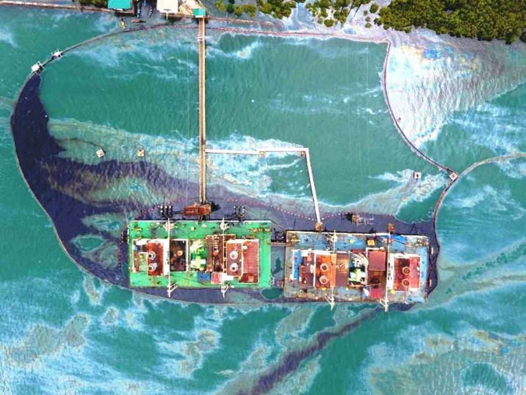 UPV to monitor mangroves in oil spill-hit areas