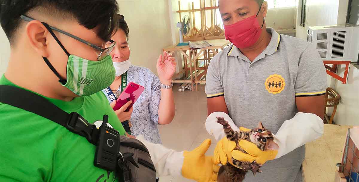 3 juvenile ‘maral’ rescued in Cadiz