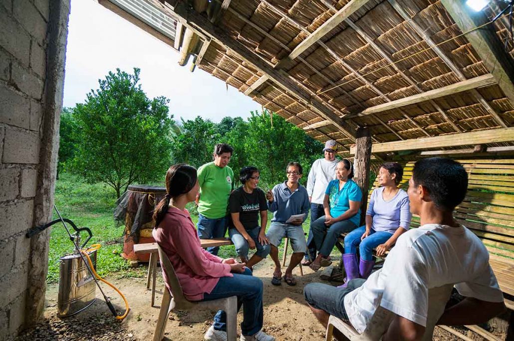 Jollibee Group Foundation spearheads online agro-entrep training to ...