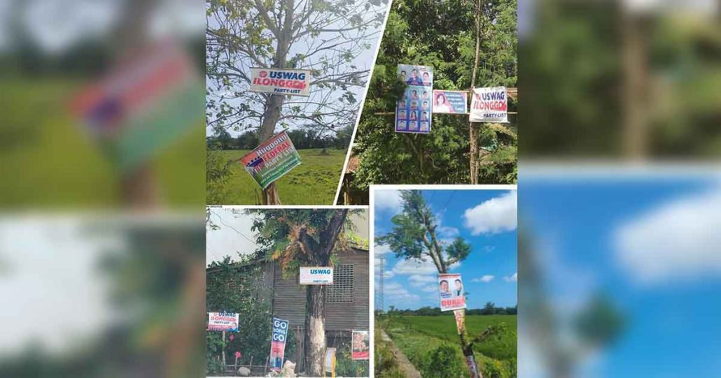 ‘SPARE THE TREES;’ They’re not campaign poster areas – DENR