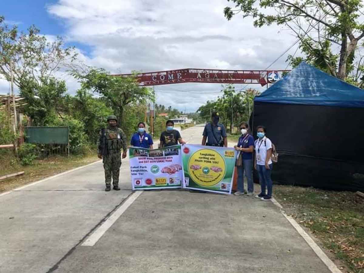 Antique establishes border checkpoint to fight ASF virus