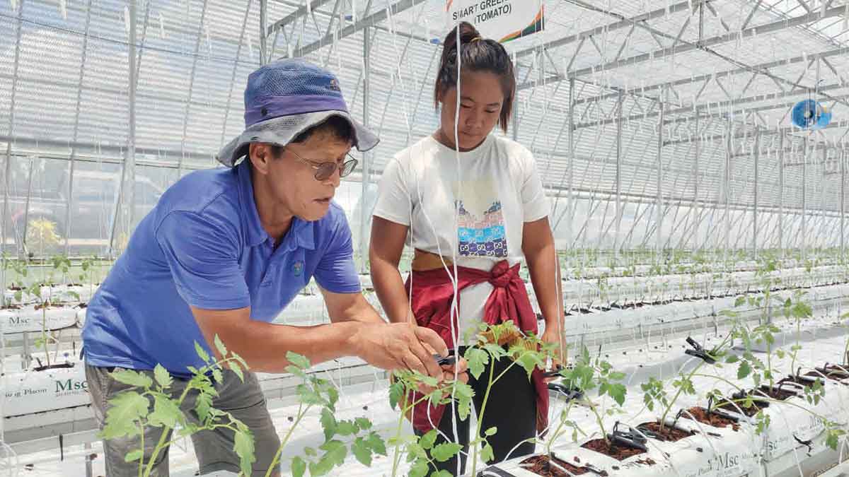 Region 6 research center grows off-season veggies