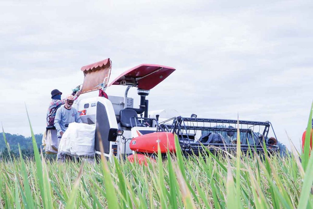 PhilRice pushes for fertilizer-saving tech