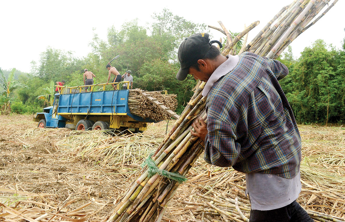 Sugar producers buck import order