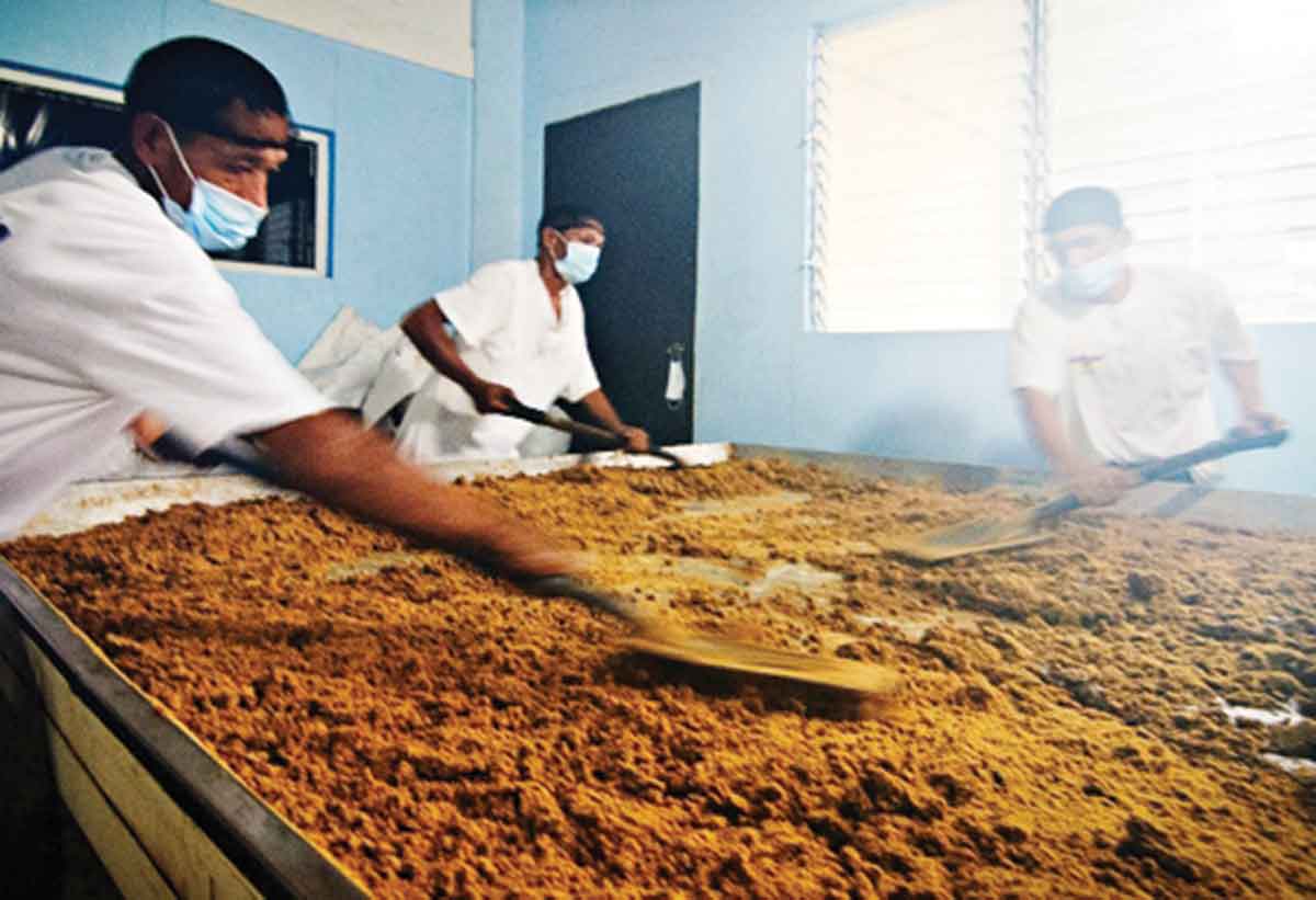 Antique muscovado industry gets 3rd tranche of funding