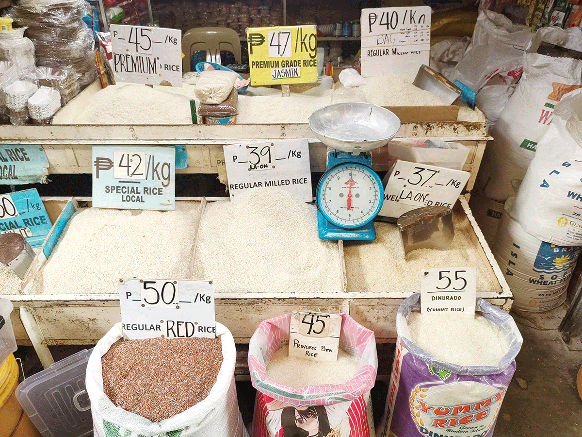 2022 Rice Supply Stable But 2023 Problems Seen