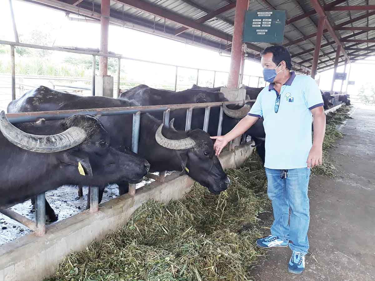 Carabao Center wants more milk ‘carapreneurs’