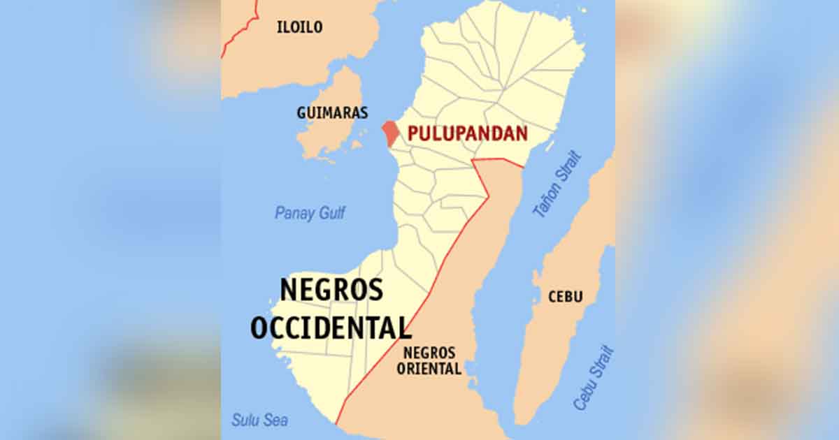 Pulupandan mayor quits after 3 weeks in office